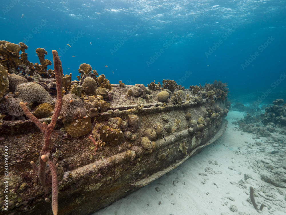 Seascape of coral reef in Caribbean Sea around Curacao at dive site ...