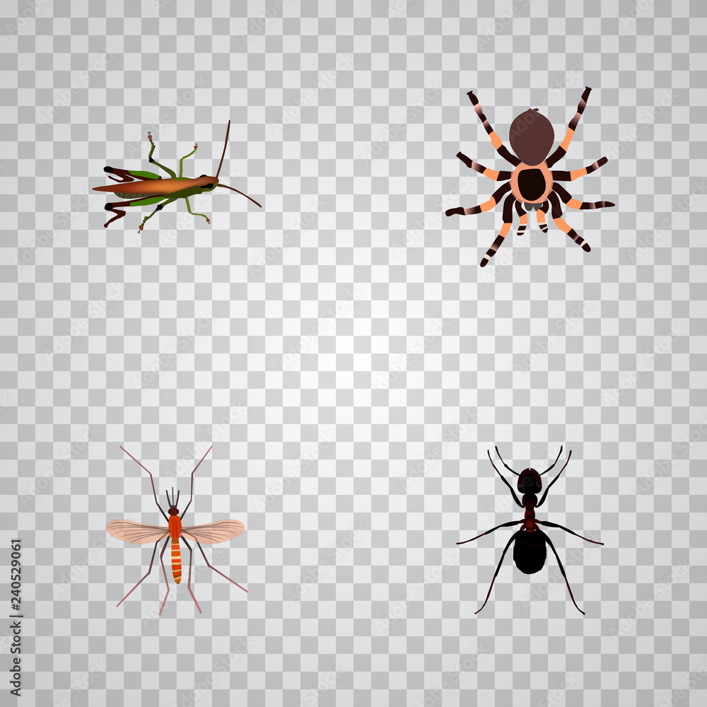 Set of insect realistic symbols with grasshopper, black widow, pismire ...