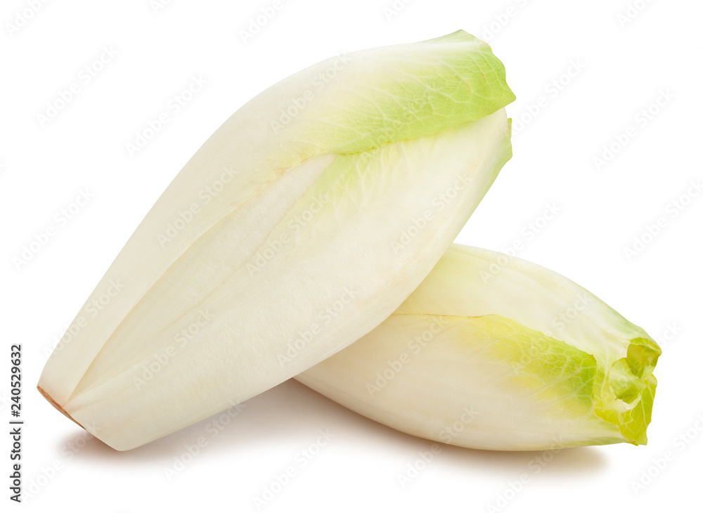 chicory Stock Photo | Adobe Stock