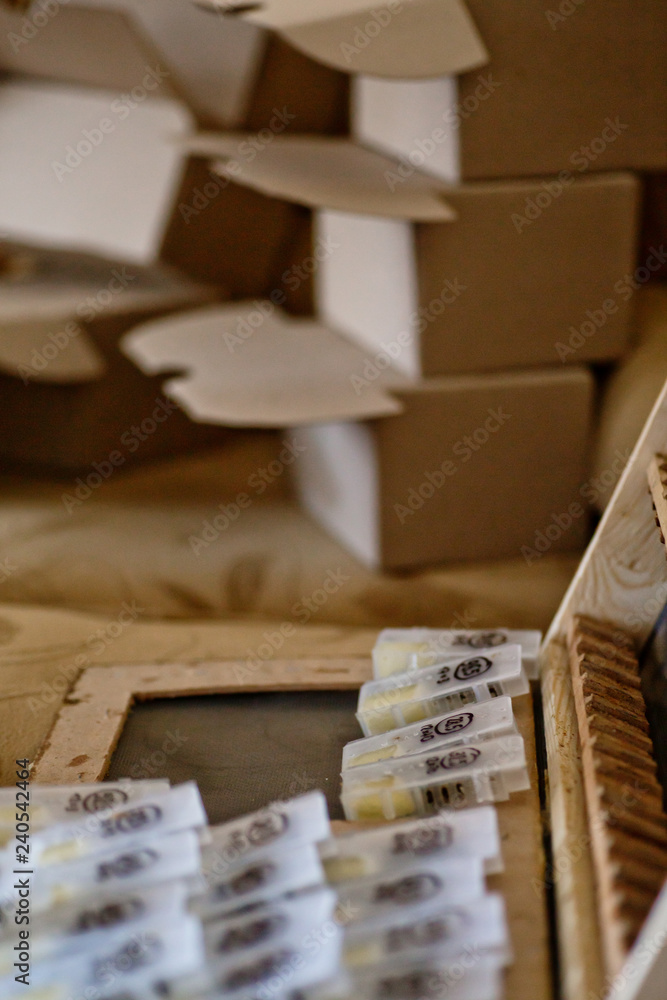 Sending bees and queen bees in boxes mail. Boxes for queen bees ...