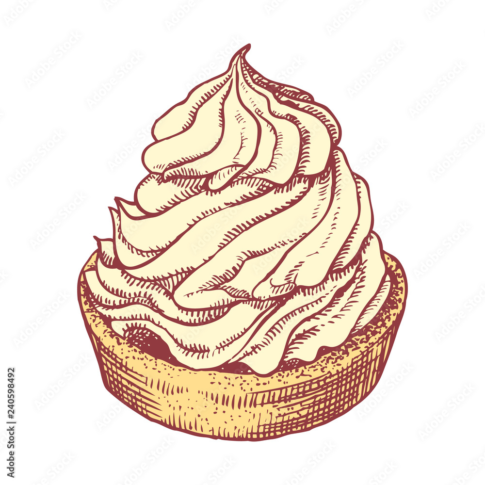 Delicious hand drawn creamy biscuit. Engraving style pen pencil ...