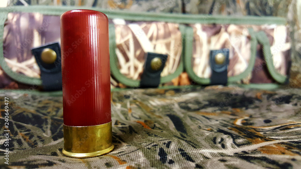 12 gauge for a gun with a cartridge case, wallpaper. 12 gauge shotgun ...