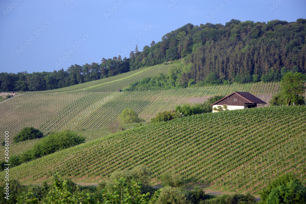 Weinberge bei Löwenstein Stock Photo | Adobe Stock