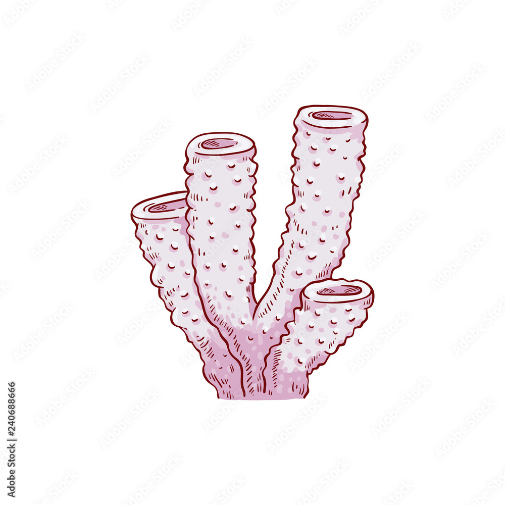 Ocean Plants Drawing