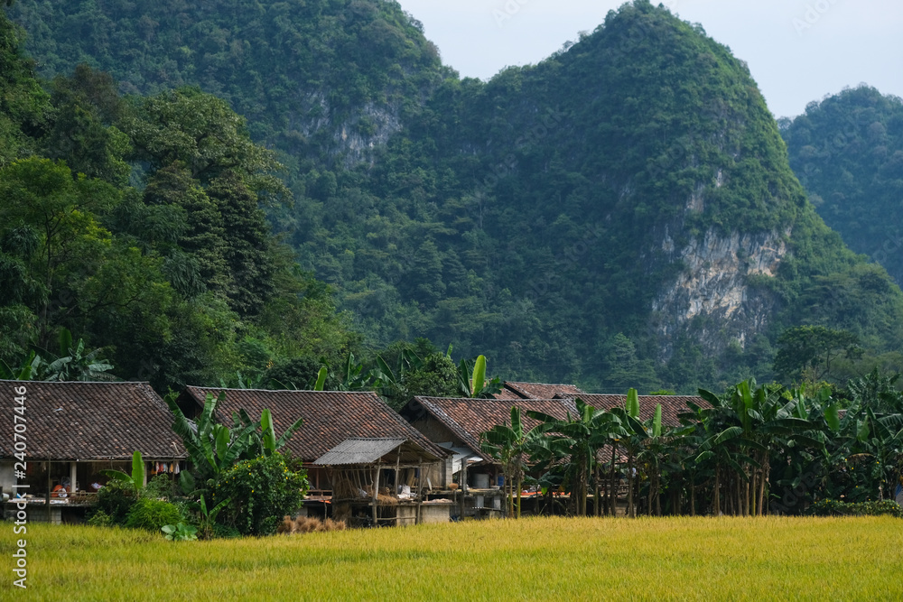 Fotografia do Stock: Vietnam traditional house in northern Vietnam ...