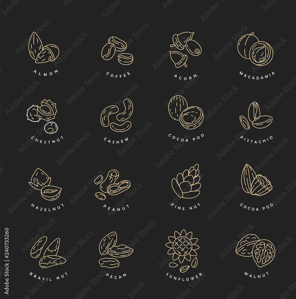 Vector icon and logo for nuts and seeds. Editable outline stroke size ...