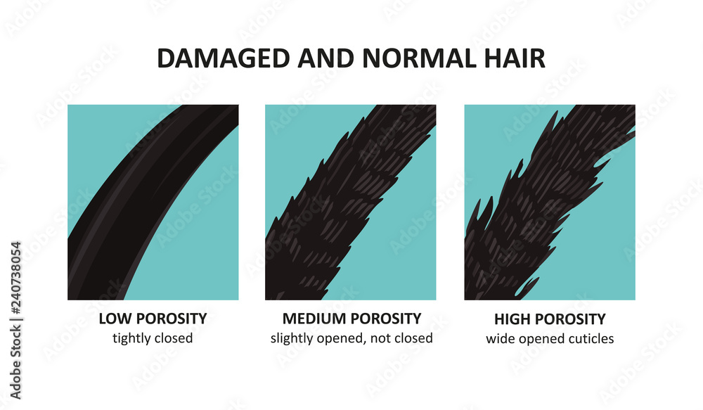 damaged and normal hair Stock Vector | Adobe Stock