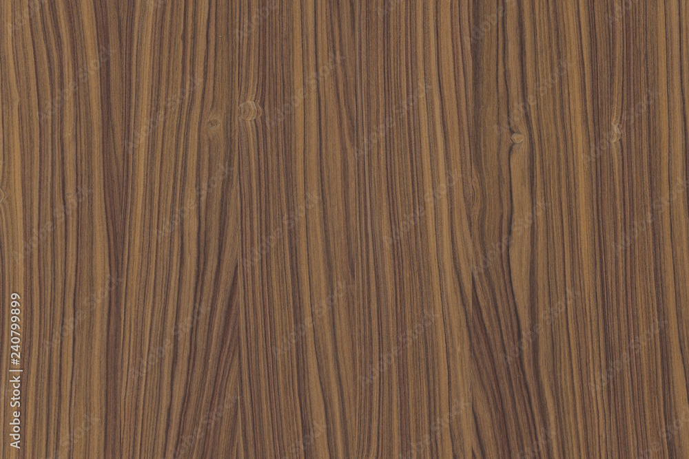 jacaranda timber tree wood grain structure texture background backdrop ...