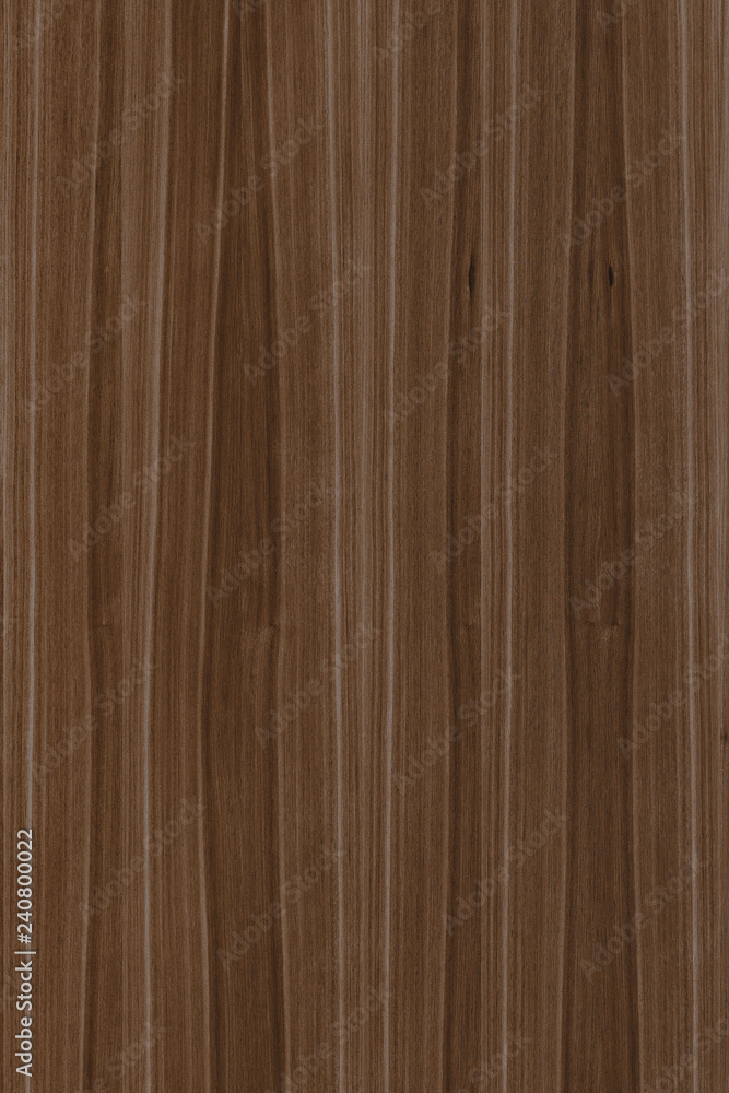 jacaranda timber tree wood grain structure texture background backdrop ...