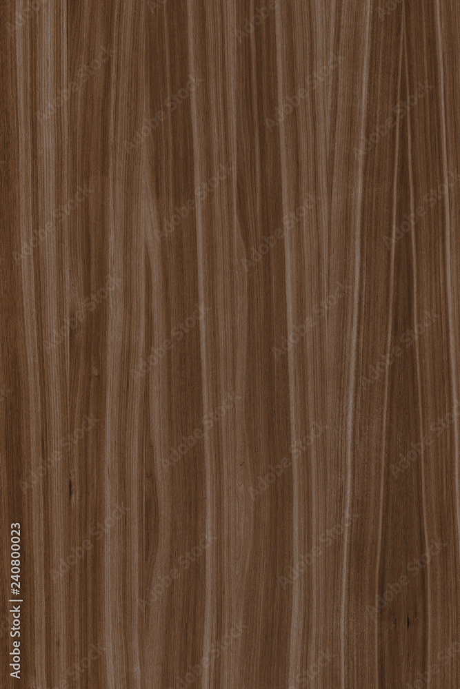 jacaranda timber tree wood grain structure texture background backdrop ...