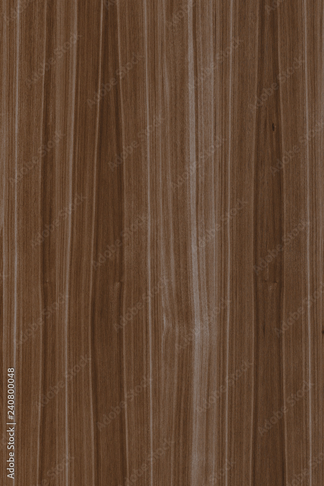 jacaranda timber tree wood grain structure texture background backdrop ...