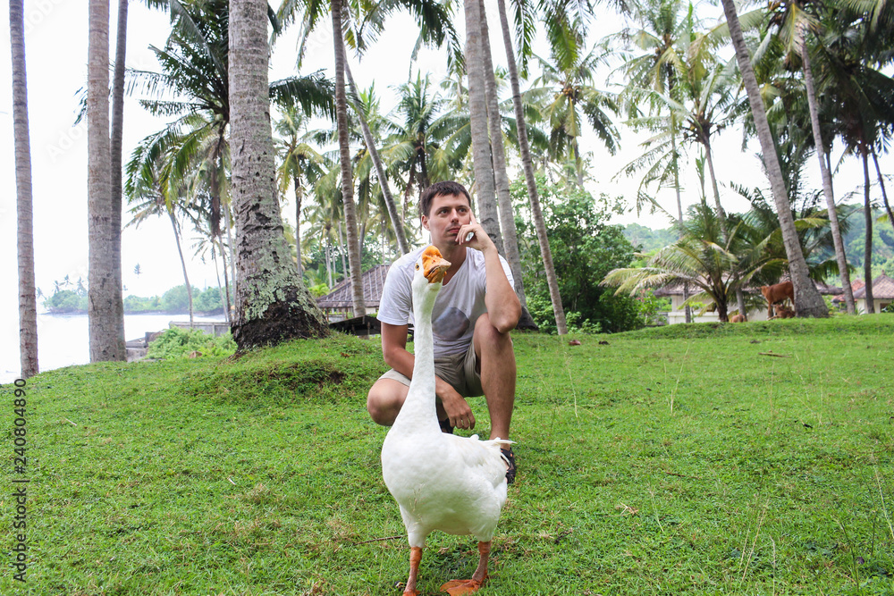 Man and Goose Posing Together in the Nature Stock Photo | Adobe Stock