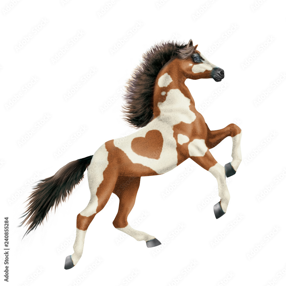 cheval, animal, roux et blanc, isolé, noir, silhouette, étalon, coeur ...