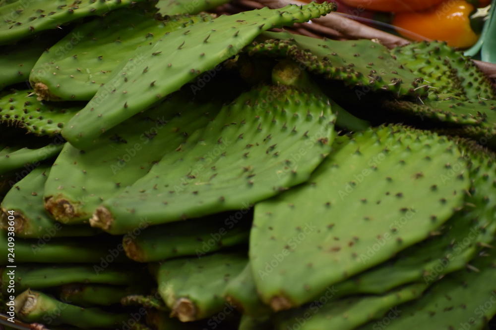 Green Cactus Stock Photo | Adobe Stock