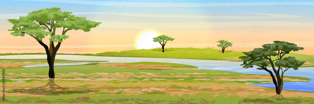 African savannah. Grass, acacia trees and river. Realistic vector ... African savannah. Grass, acacia trees and river. Realistic vector ...