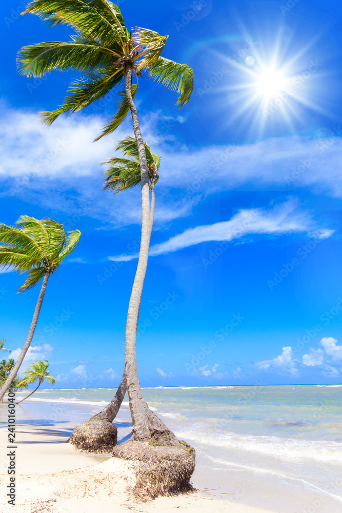 Cayo Levantado: Antillen, Karibik, Ferien, Tourismus, Sommer, Sonne ...