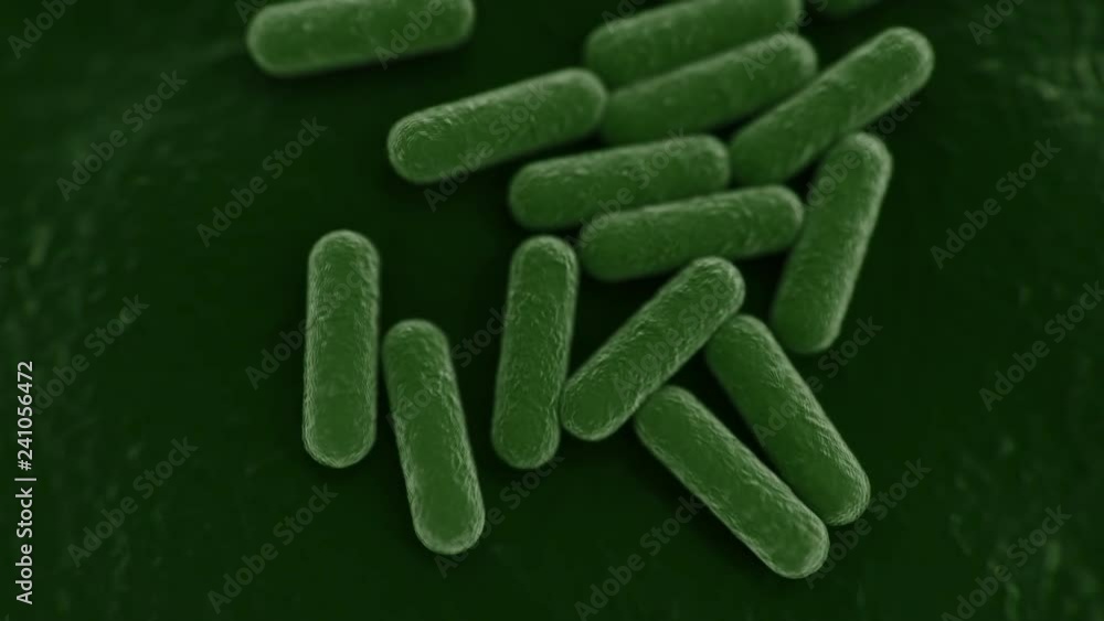 4K Microscopic view of a bacteria colony. Medically accurate with ...