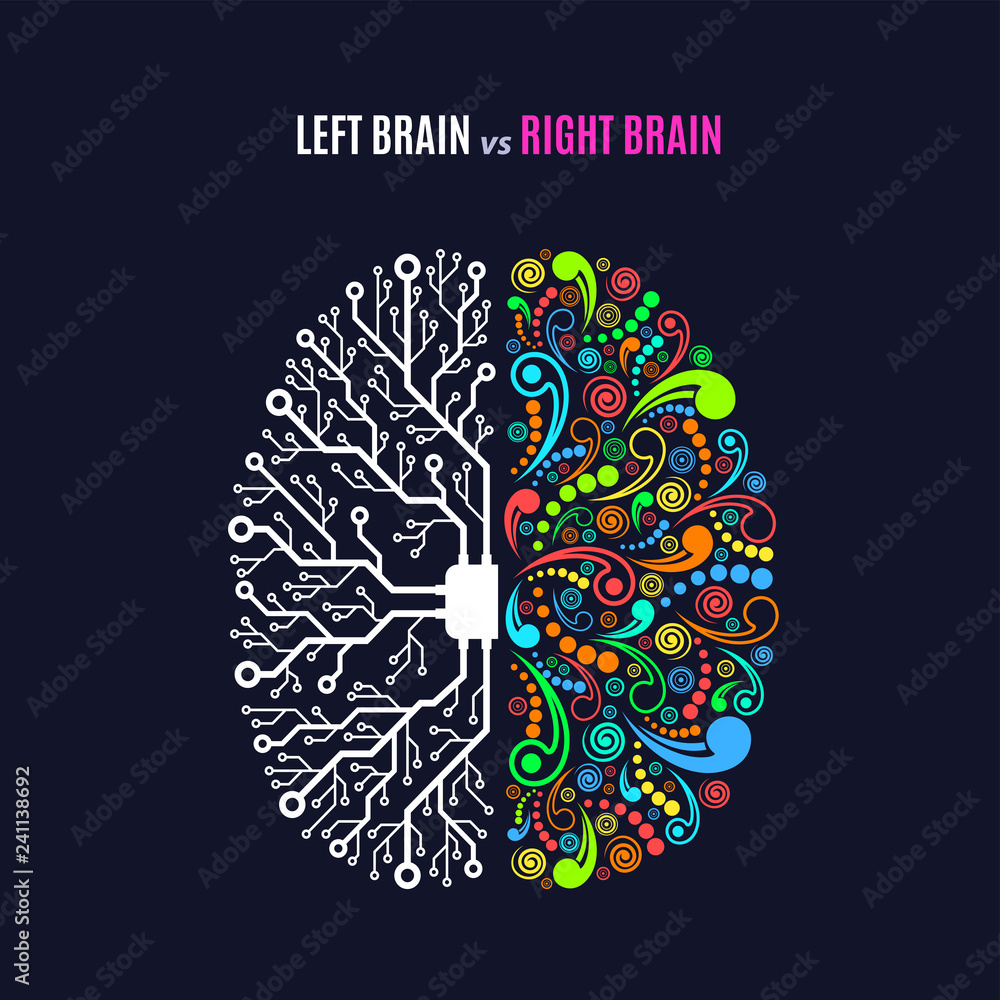 left and right brain concept Stock Vector | Adobe Stock