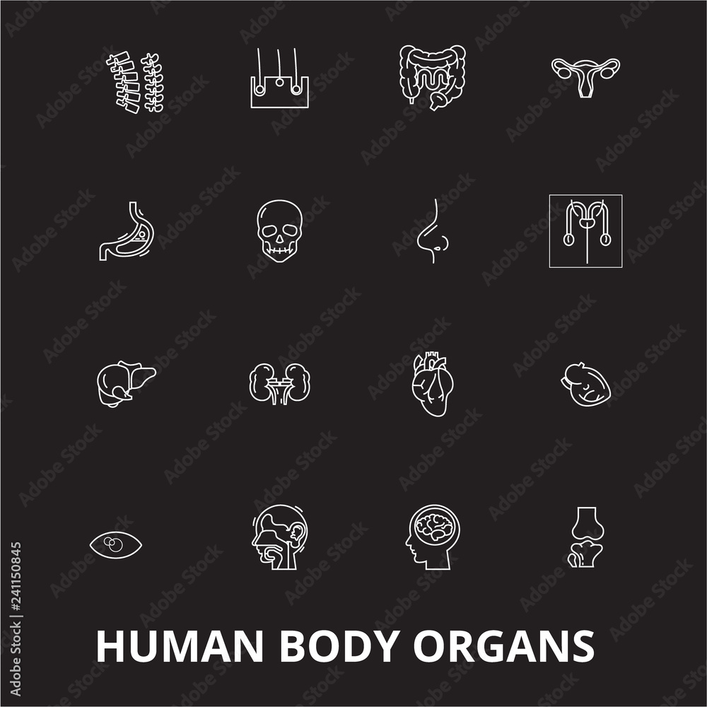 Human body organs editable line icons vector set on black background ...