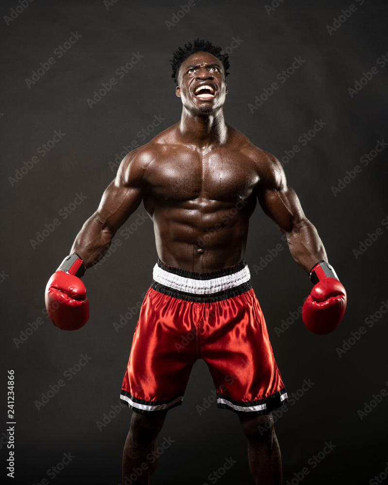 Muscular African American Black male sweaty boxer does an aggressive ...