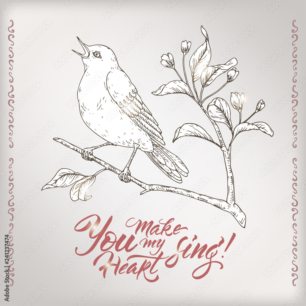 Singing Bird Drawing