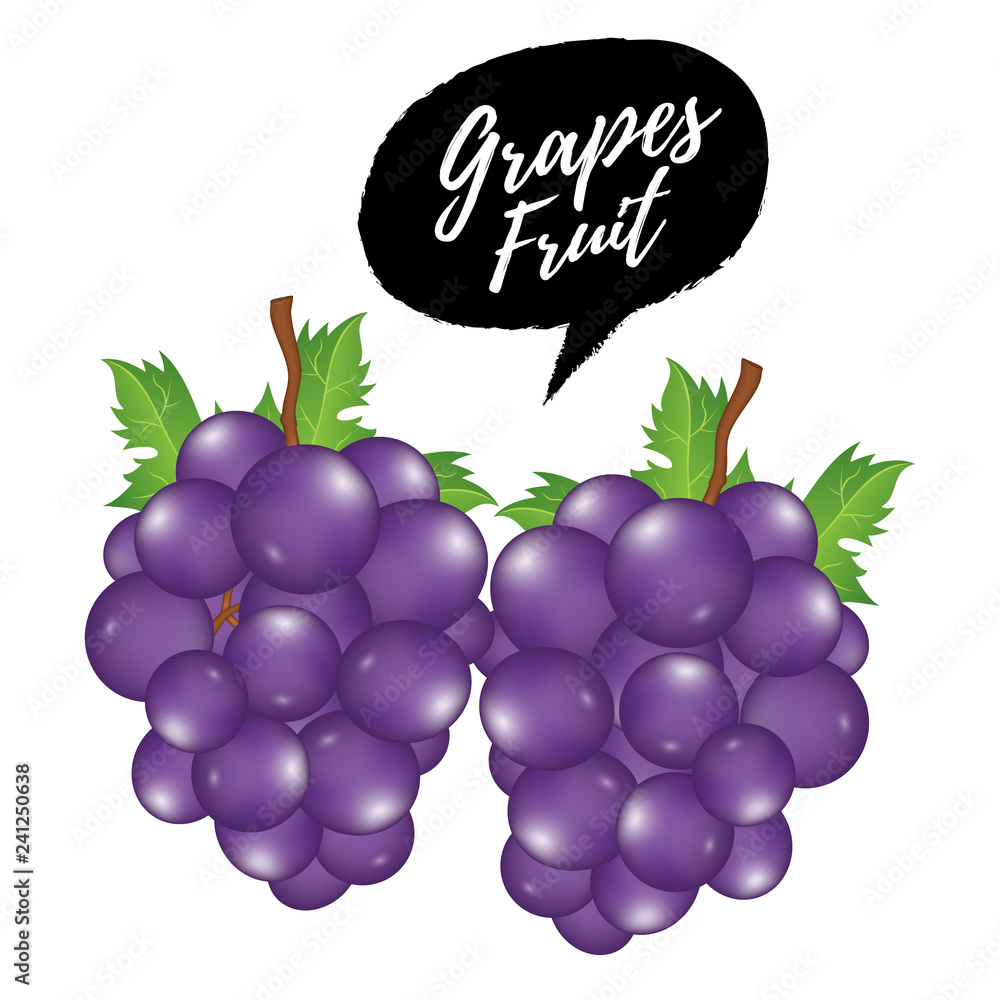 Purple Grape Clipart Images