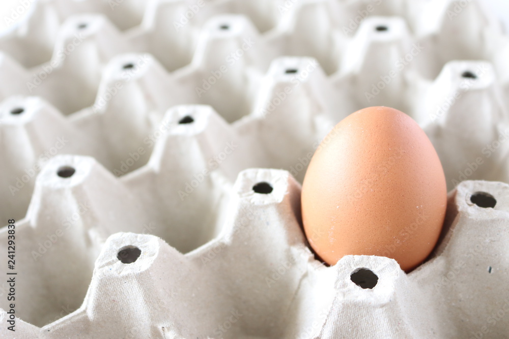 1 fresh egg in a paper tray,food background, meal Stock Photo | Adobe Stock