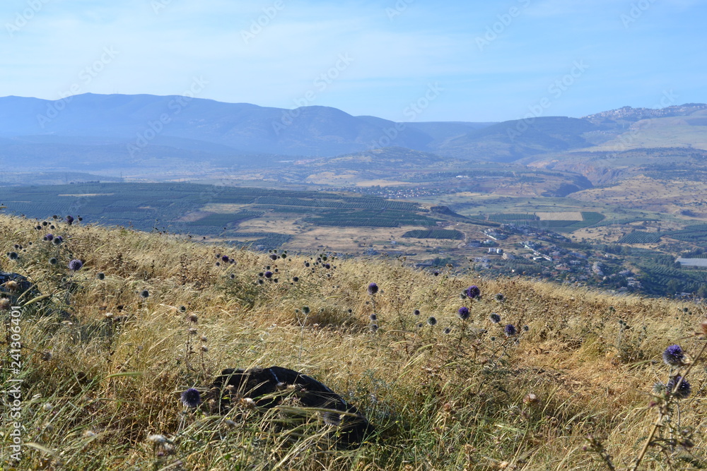 Hiking Jesus trail - beautiful view of Mt. Arbel in countryside of ...