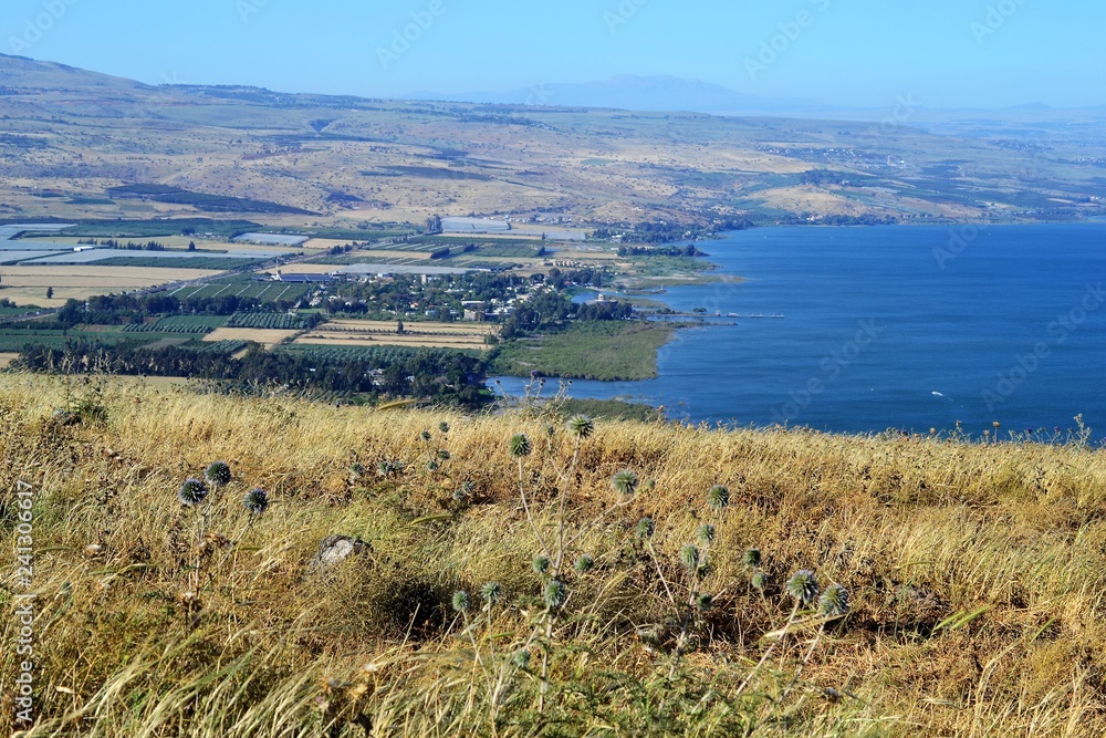 Hiking Jesus trail - beautiful view of Mt. Arbel in countryside of ...