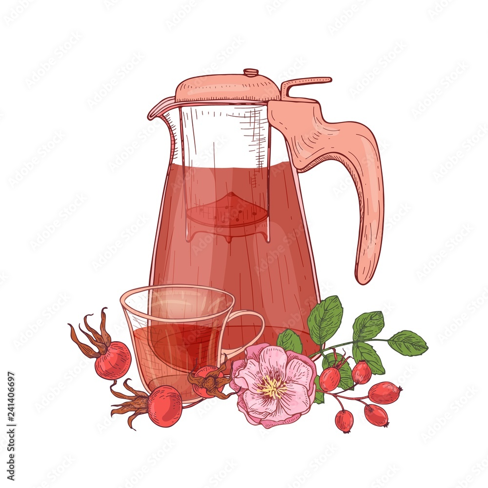 Elegant drawing of glass transparent pitcher with strainer, cup of tea ...