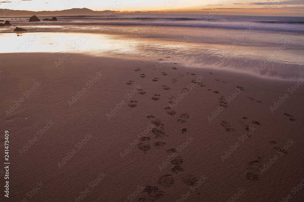 footprints that are disappearing in the beach of barrika of the country vasco Stock Photo ...