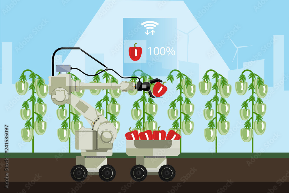 Robot sweeper picks sweet pepper. Smart farming. Technology in ...