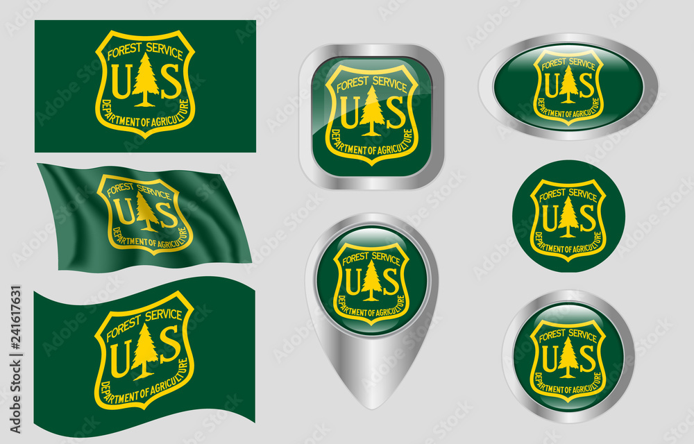 Flag of the US Forest Service Stock Vector | Adobe Stock