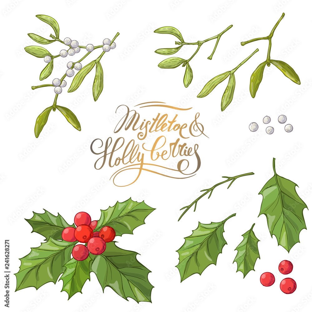 Mistletoe Leaf Template