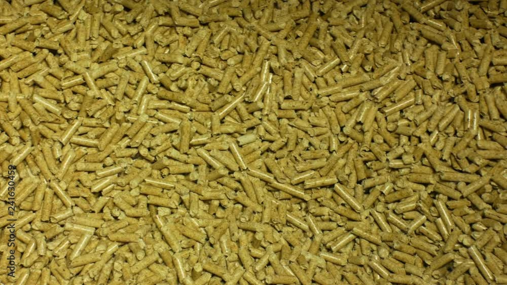 Pellets fuel with spruce sawdust into the delivery strew bio wooden ...