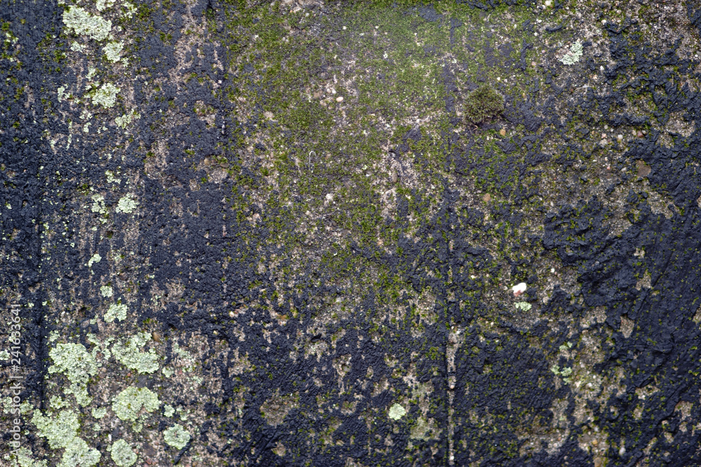 Foto de Mauerwand mit Ruß und Flechten / Die Nahaufnahme einer ...