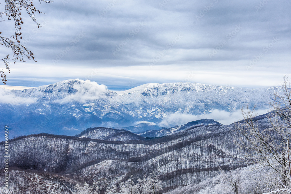 Serbia Winter