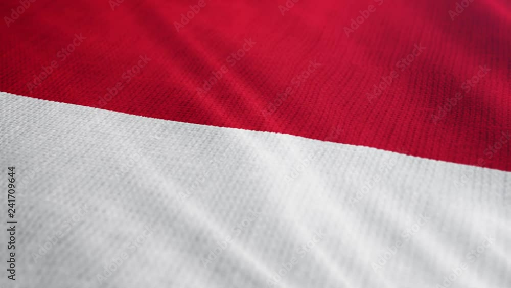 Monaco flag is waving 3D animation. Symbol of Monaco national on fabric ...