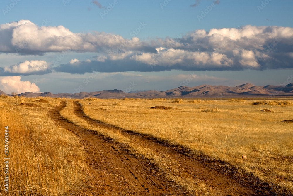 JANOS, CHIHUAHUA, MEXICO: Janos Grasslands are some of the most intact ...