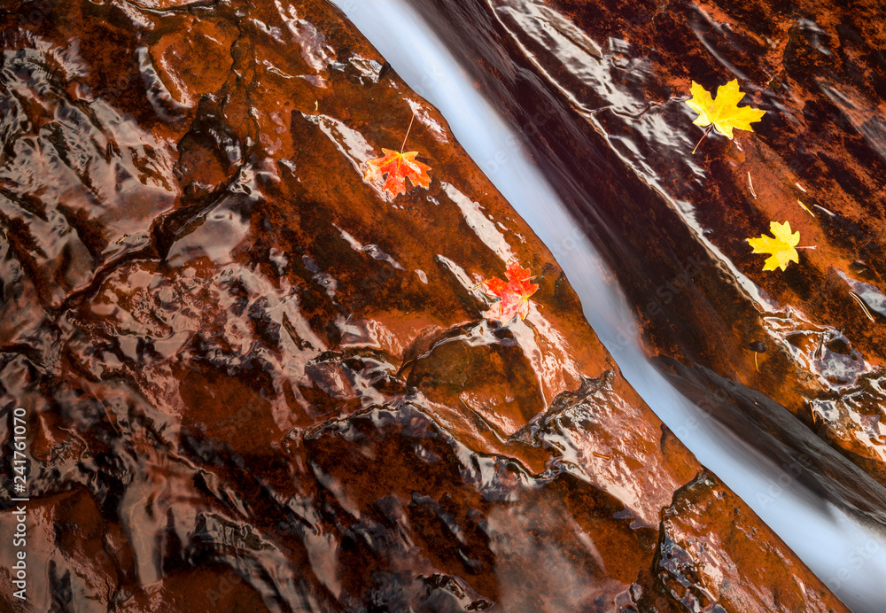 Water flows near the Subway along the Left Fork trail in Zion National ...