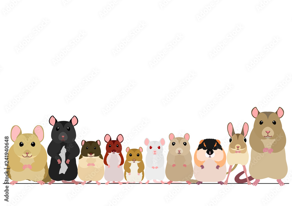 border of mice breeds Stock Vector | Adobe Stock