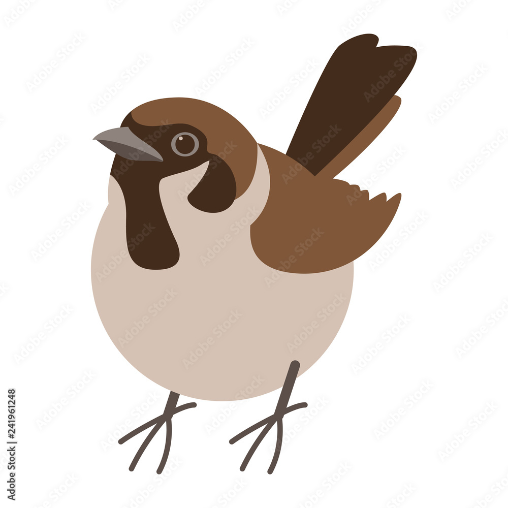sparrow bird , vector illustration , flat style , front Stock Vector ...