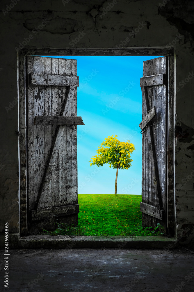 Opened wood door in abandoned house. Landscape with lonely tree ...