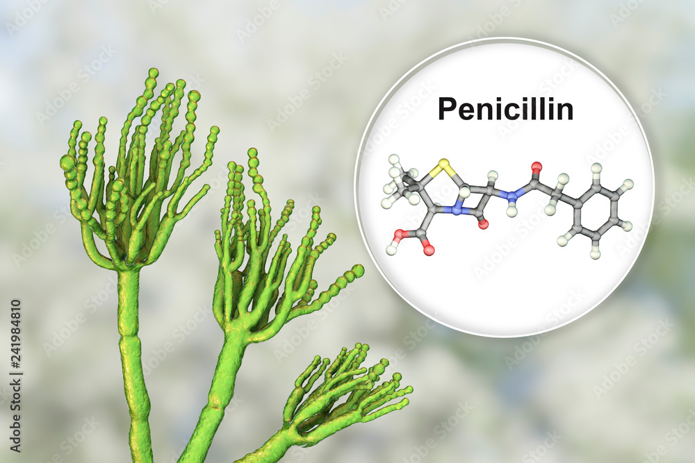 Fungi Penicillium producing penicillin antibiotic, 3D illustration ...