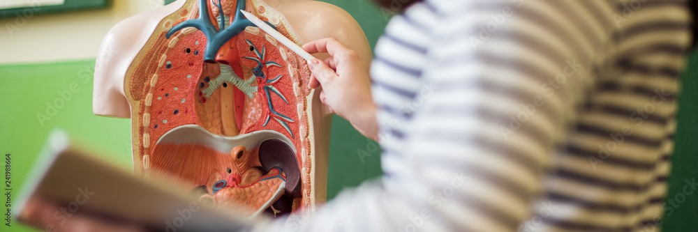 Young female teacher in biology class, holding digital tablet and ...