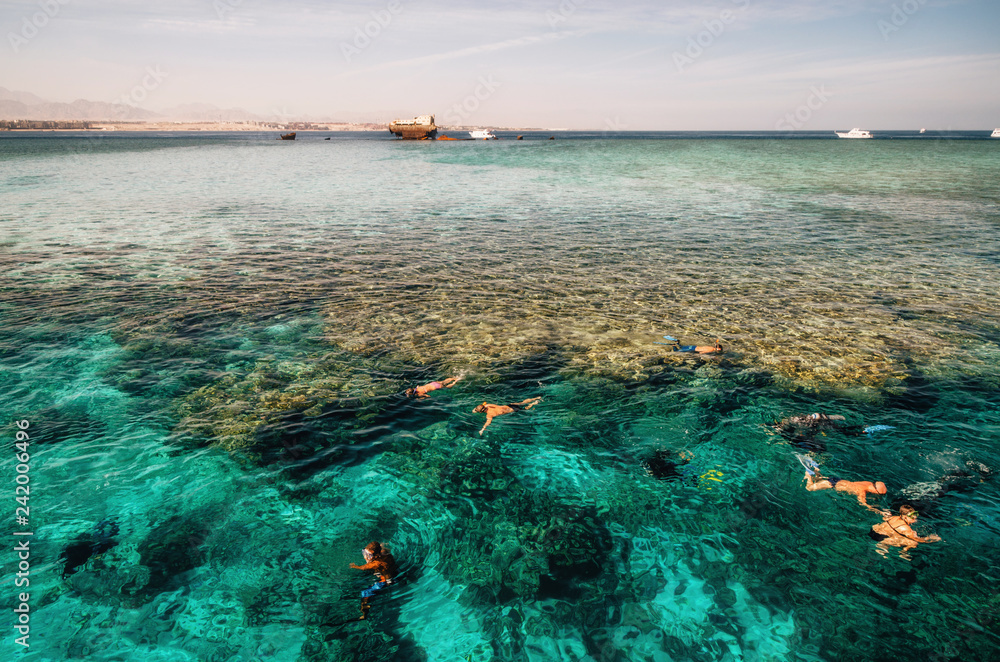 People snorkeling beside of shipwreck at Gordon Reef in the Tiran ...