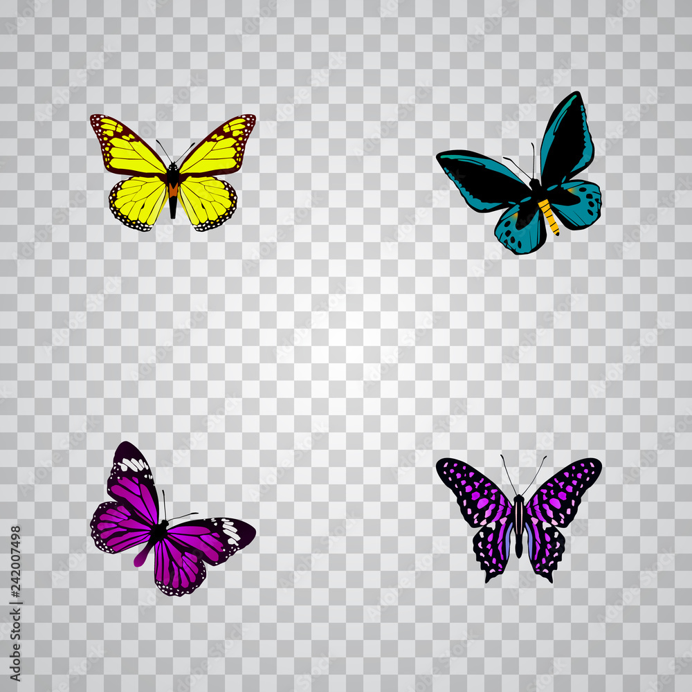 Set of butterfly realistic symbols with striped purple crow, yello-wing ...