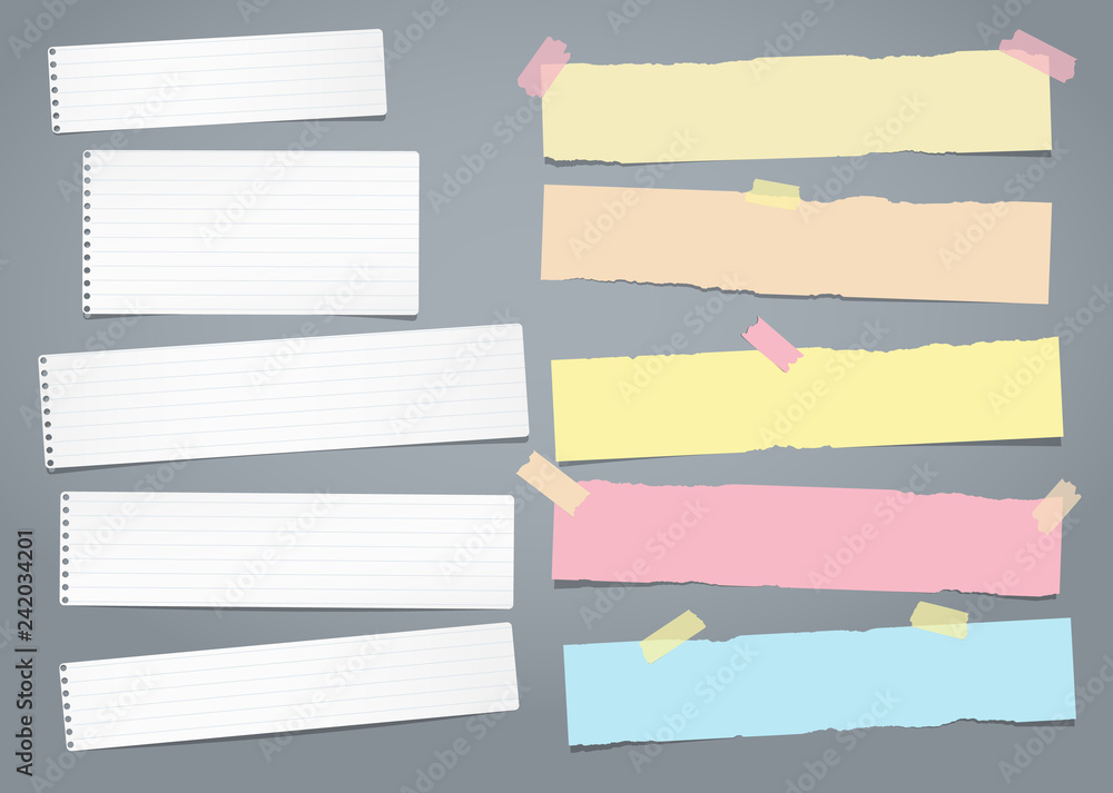 Torn Notebook Paper Strip