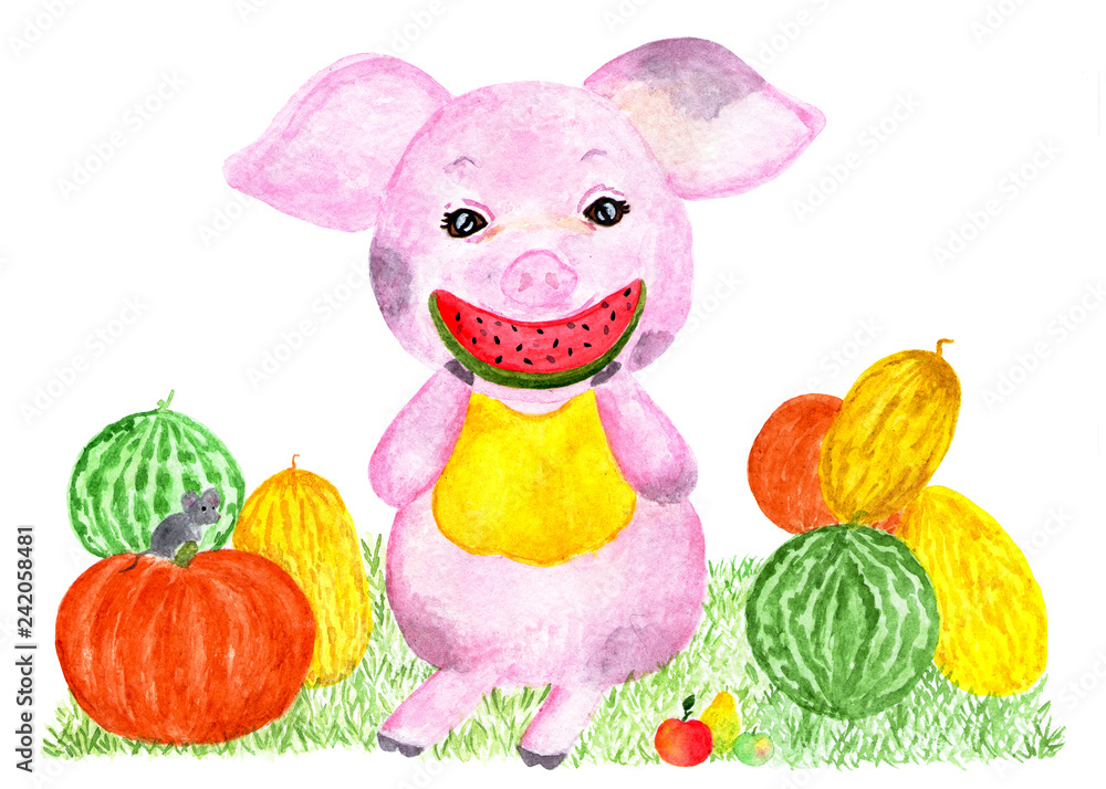 Pig. Watercolor illustration. Happy pig with a harvest of watermelons ...