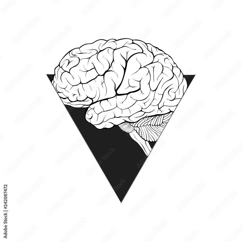 Нuman brain in a triangular window abstract form Stock Illustration ...